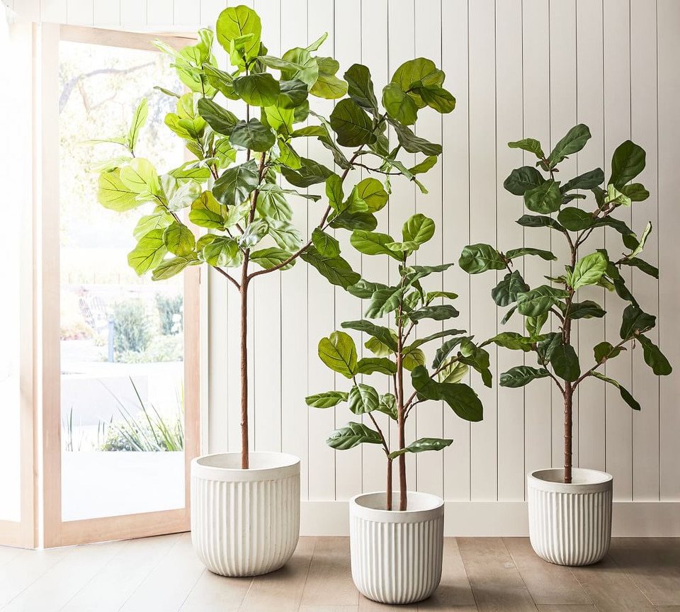 Concrete Fluted Planter Chalk Pottery Barn Australia